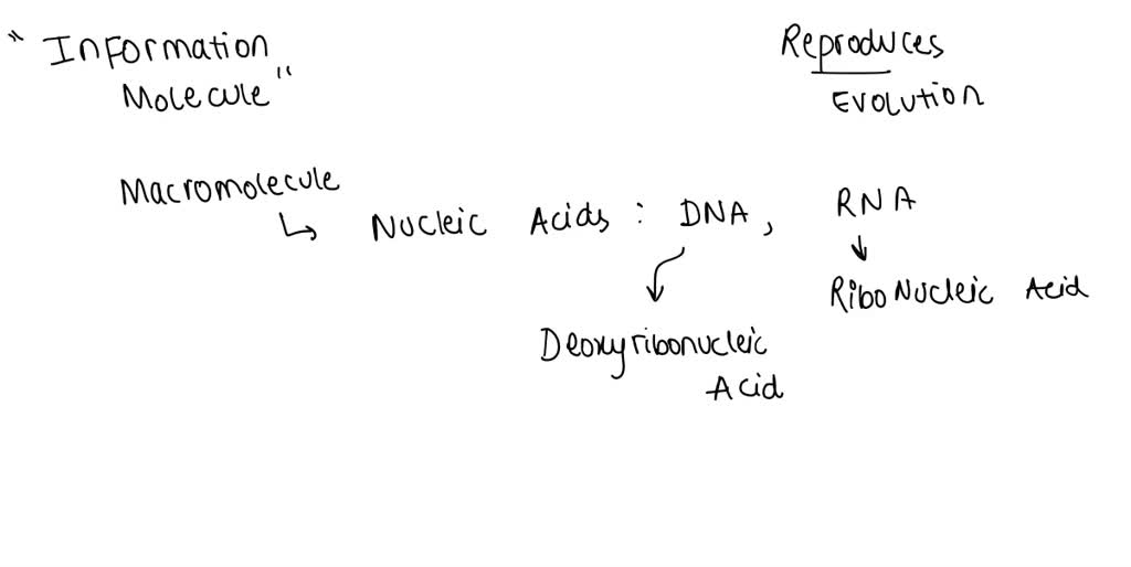 SOLVED: Identify which macromolecule is considered the information ...