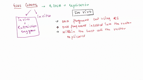 Iotechnology what is a restriction enzyme what is...