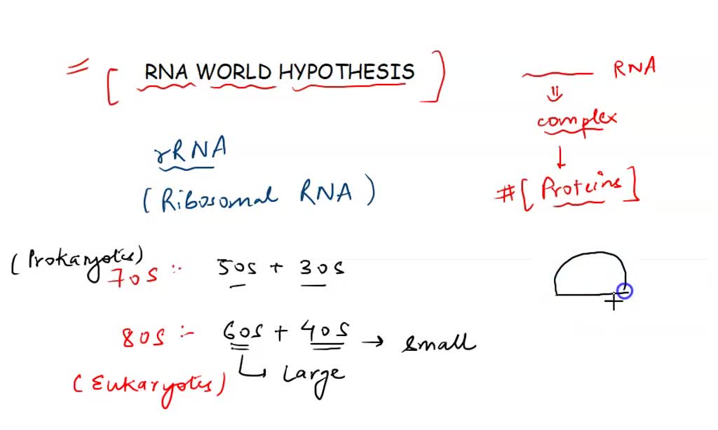 SOLVED: The RNA world hypothesis proposes that the first complex ...