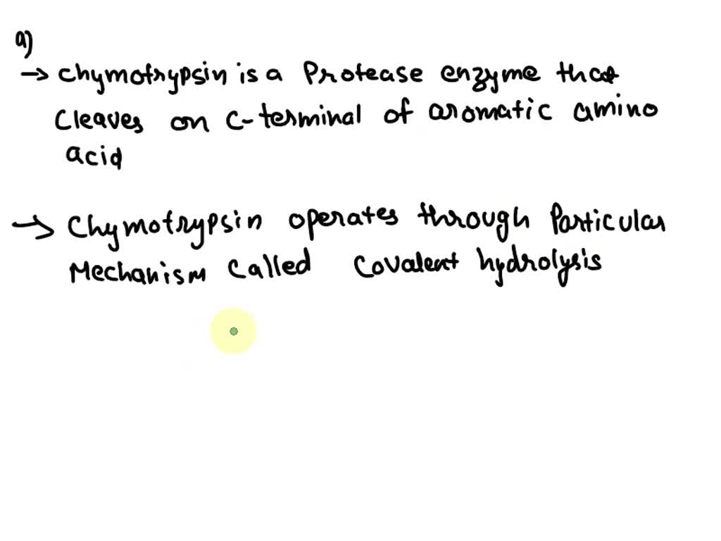 SOLVED: Chymotrypsin selectively cleaves polypeptide chains on the ...