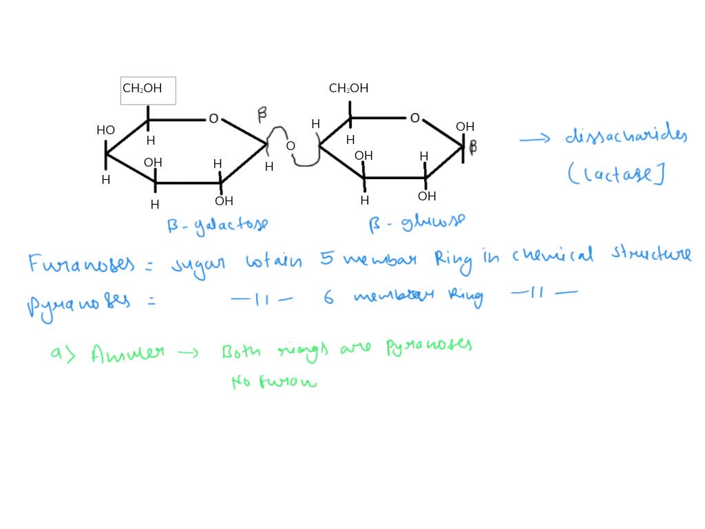 SOLVED: Ch-H chjH Units are furanoses and how many are pyranoses ...
