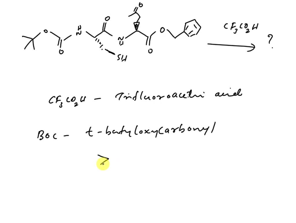 SOLVED: Draw the product of the reaction shown below at physiological ...