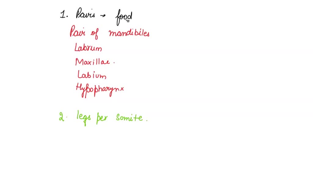 SOLVED: 1. How many pairs of food-handling appendages can you identify ...