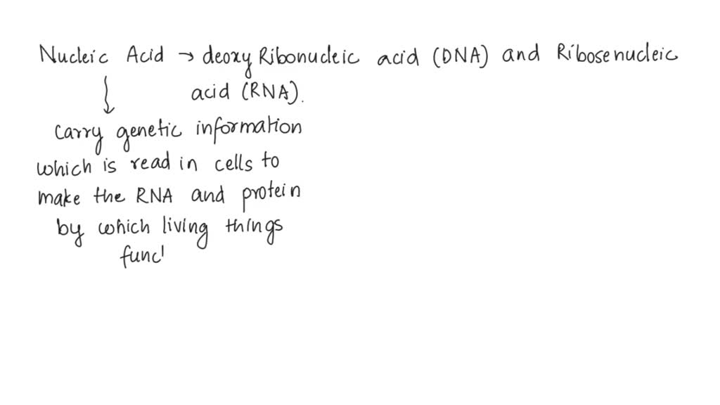 SOLVED: 'What is the function of Nucleic Acids? Sugar Phosphate Backbone Adenine Uracil Base ...