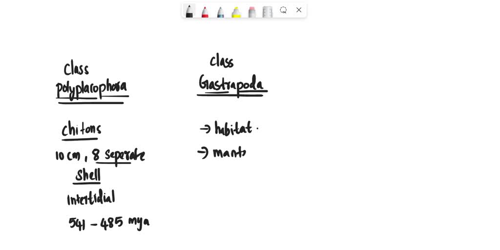Solved Using Html And Css Using Tables And Forms Criteria Ratings Basic Table Tags Rows
