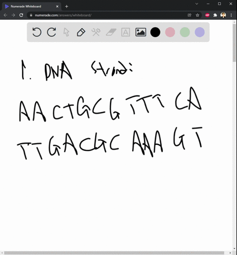 48 LAB 2 Genetics Name: EXERCISE 8 DNA REPLICATION Work with...