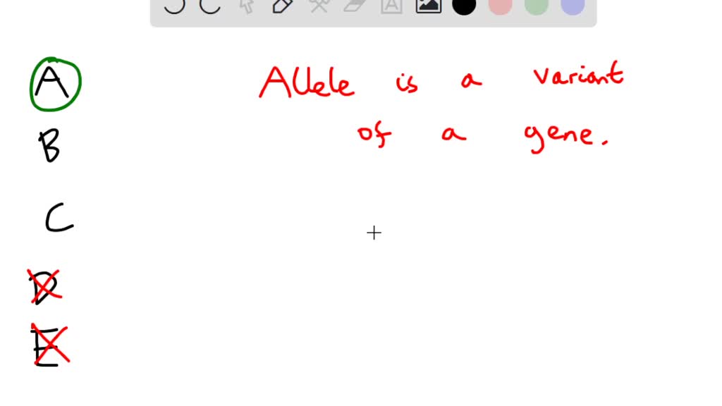 SOLVED: The alleles of a given gene: A) Occupy the same loci on ...