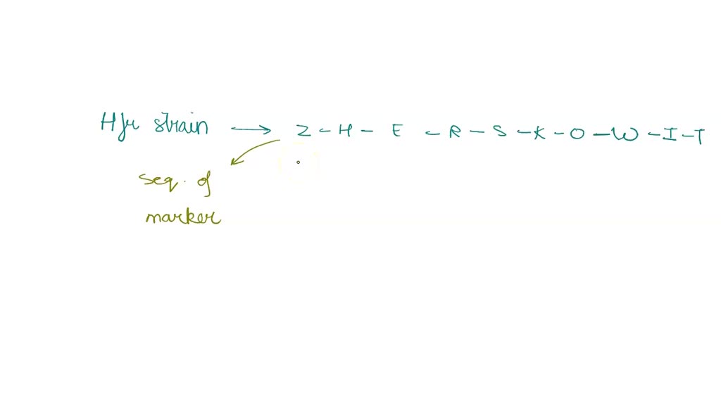 An F+ strain, marked at 10 loci, gives rise spontaneously to Hfr ...
