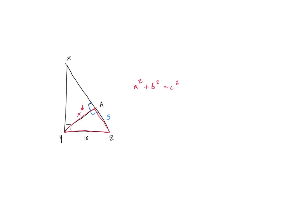 SOLVED: In the diagram; the length of YZ is twice (he length of AZ YA Is an altitude of AXYZ ...