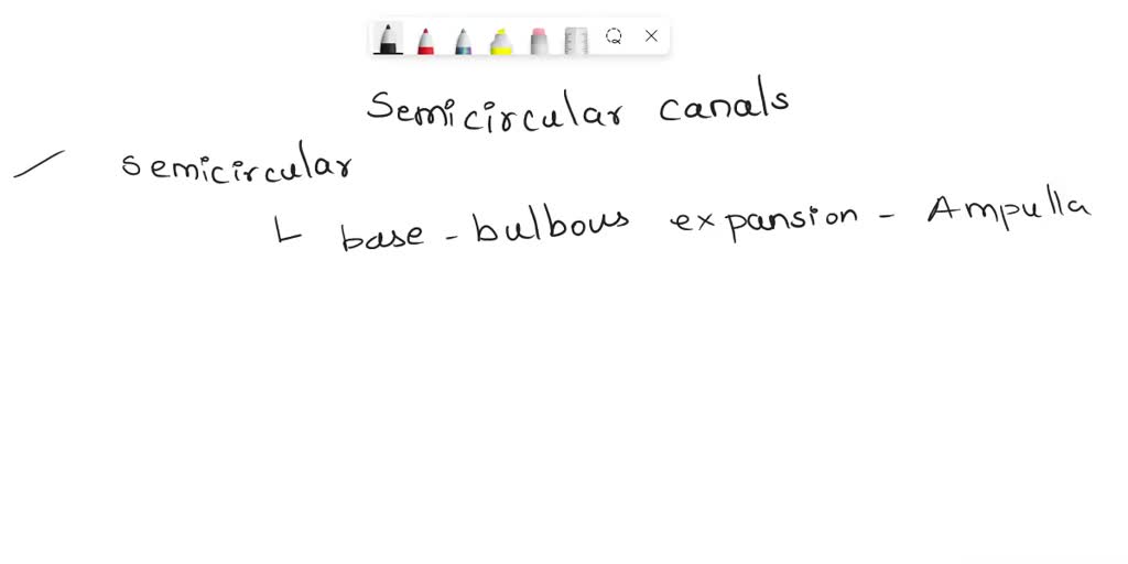 SOLVED: Which of the following structures or characteristics are not associated with the ...