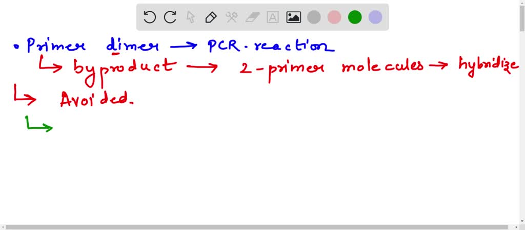 Solved What Is Primer Dimer In A Pcr Reaction How Do You Avoid Primer Dimers When Designing