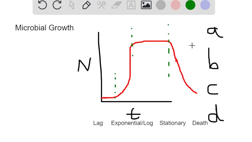 SOLVED: The microbial growth phase where microbes are adjusting to ...