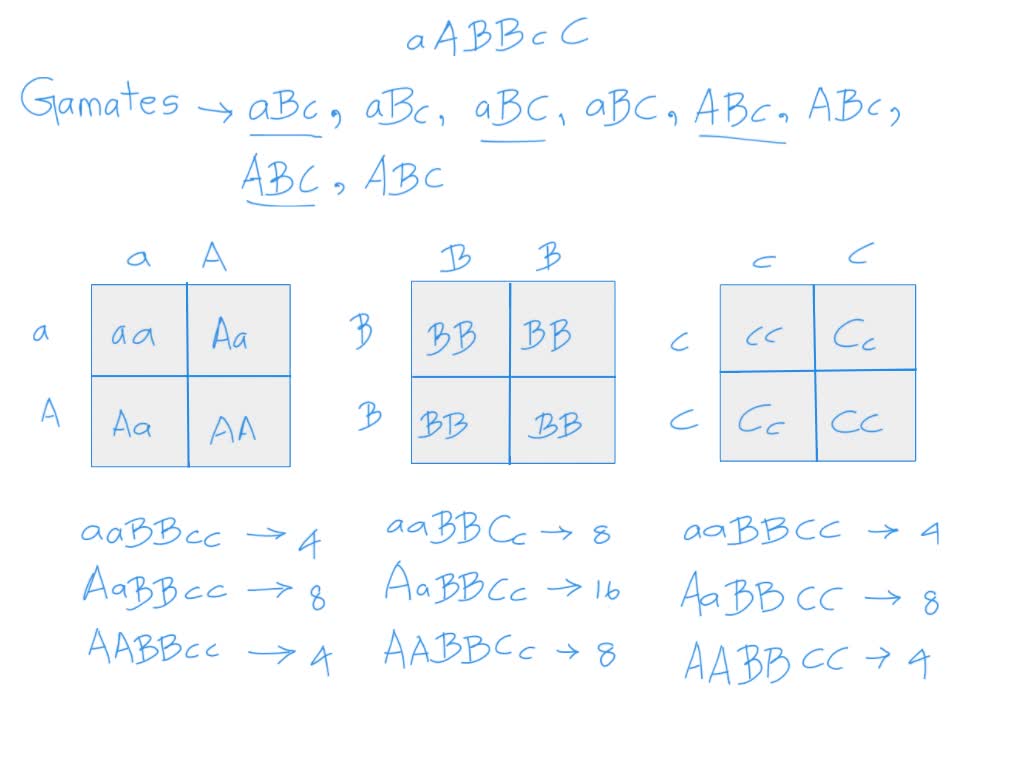 SOLVED: Find a formula for the general case of the question (4) for the ...