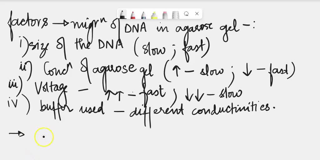 SOLVED: Lab 9B: Introduction to PCR using Drosophila Agarose Gel Electrophoresis and Analysis ...