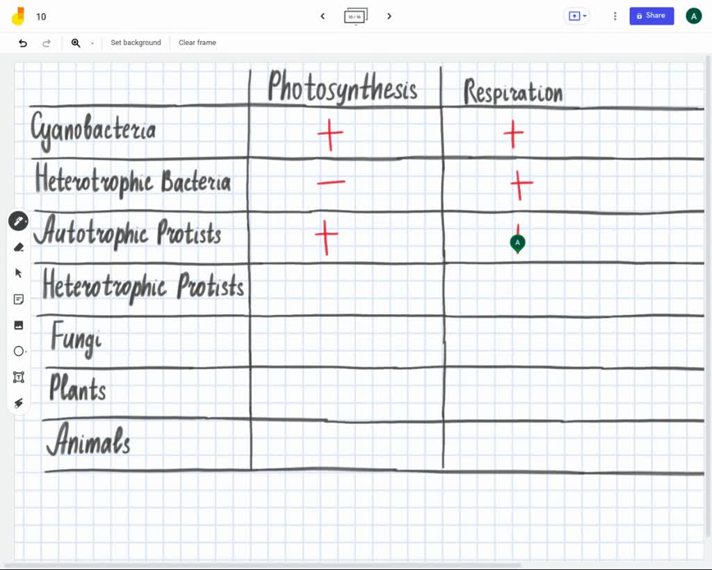 SOLVED: This table summarizes organisms from Domain Bacteria (by energy ...