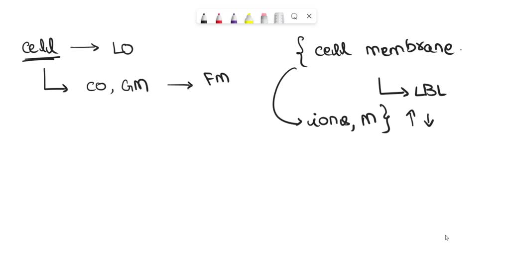 SOLVED: Question 13 (2 points) Saved The extracellular side of a cell ... SOLVED: Question 13 (2 points) Saved The extracellular side of a cell ...