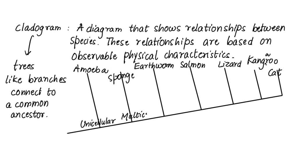 SOLVED: PLEASE HELP! URGENT! Which is the correct interpretation of ...