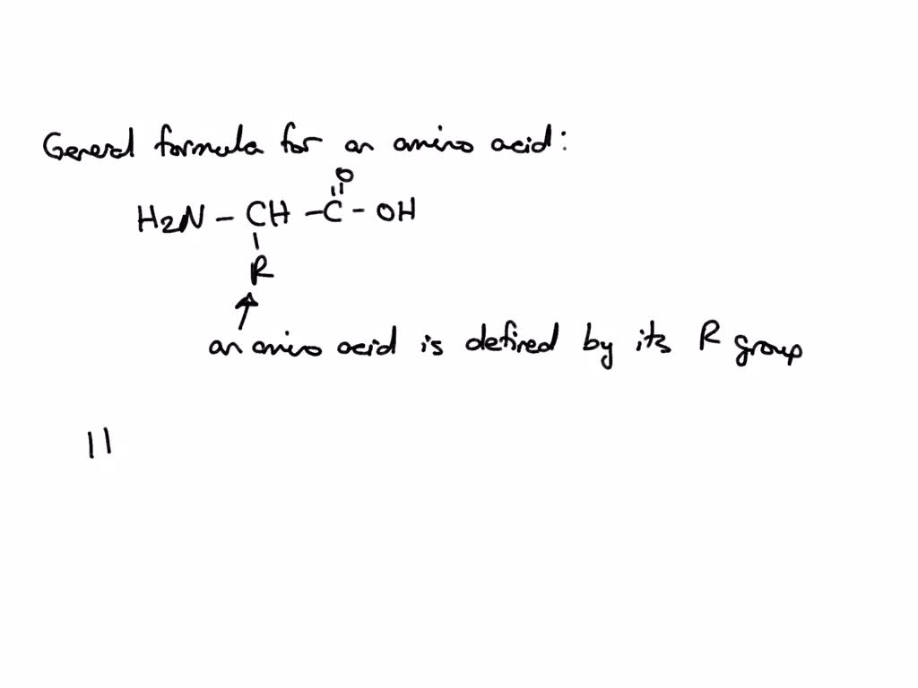 SOLVED: H2N6S OH NH2 Select all that apply.For the amino acid structure ...