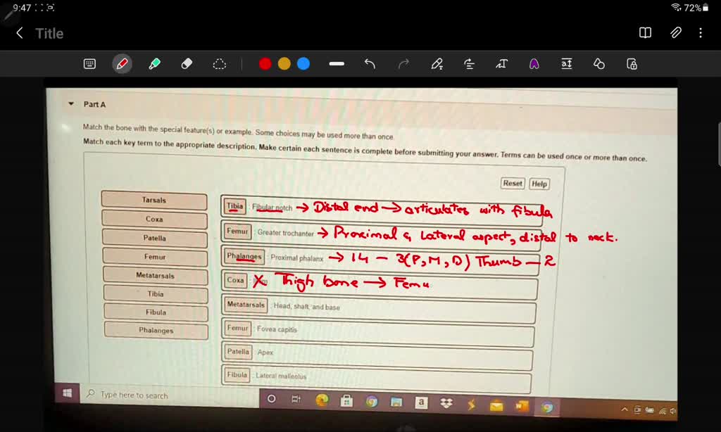 SOLVED: Match the bone with the special feature(s) example - Some ...