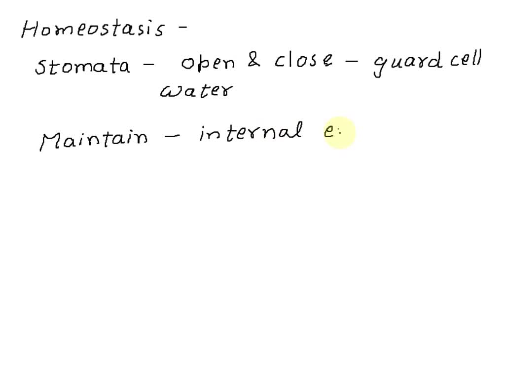 SOLVED: Claude Bernard first recognized . separate fluids outside and ... SOLVED: Claude Bernard first recognized . separate fluids outside and ...