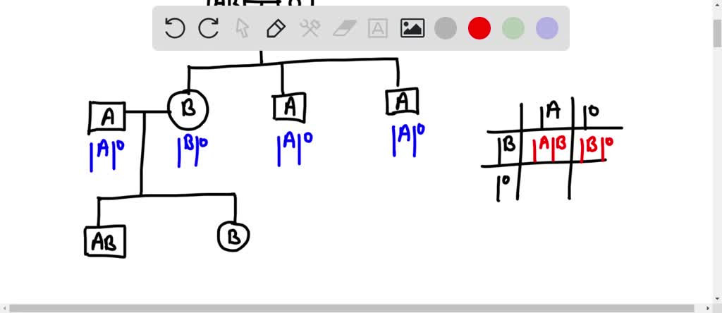 SOLVED: A Pedigree Showing the Incidence of ABO Blood Types in a Family ...