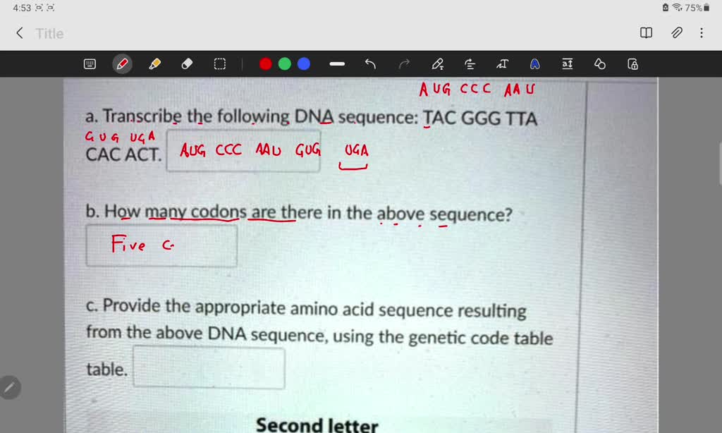 SOLVED: Transcribe the following DNA sequence: TAC GGG TTA CAC ACT How ...