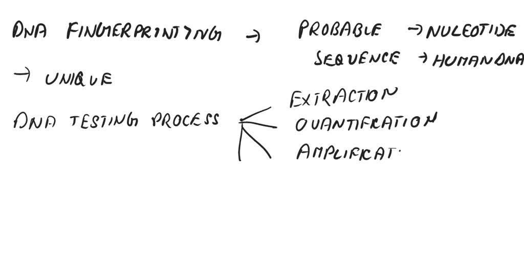 SOLVED: Define (simply) the following terms: Superior - Higher or above ...
