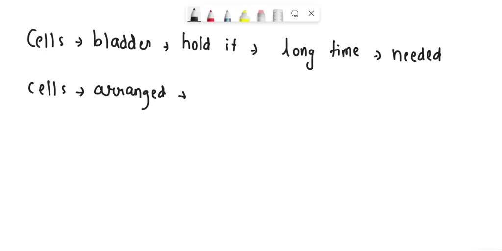 SOLVED: Which of the following illustrates the Principle of ...