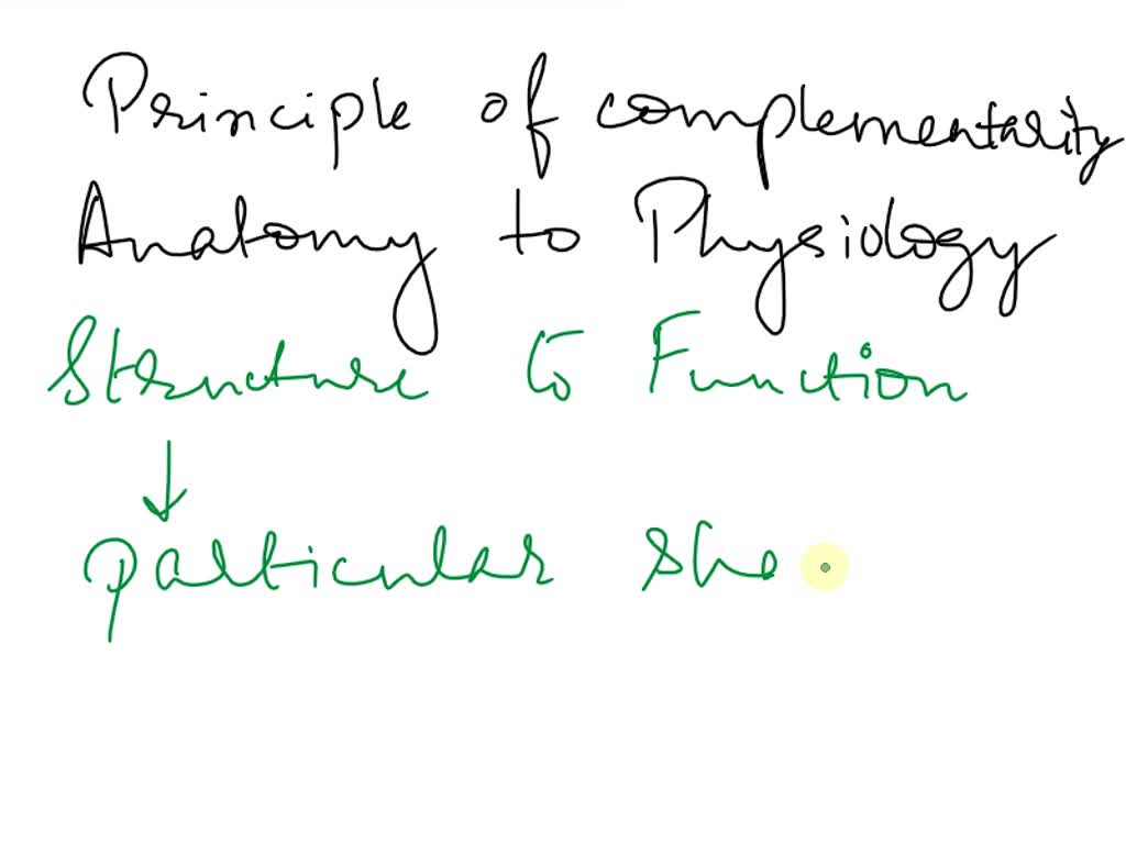 SOLVED: According to the principle of complementarity, how does anatomy relate to physiology?