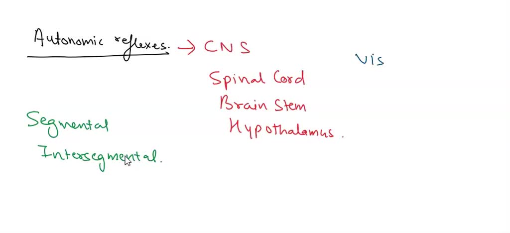 SOLVED: Which digestive reflexes use autonomic nerve fibers running to ...