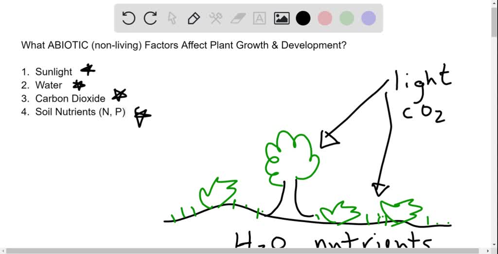 SOLVED: write a note on abiotic factors influencing the growth and ...
