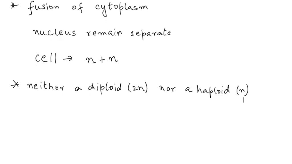 SOLVED: 'Which statement about life cycles with a dikaryon stage is ...