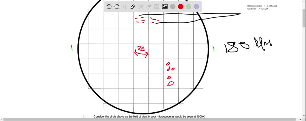 Draw a corresponding microscope 'image' to fit into the microscope ...