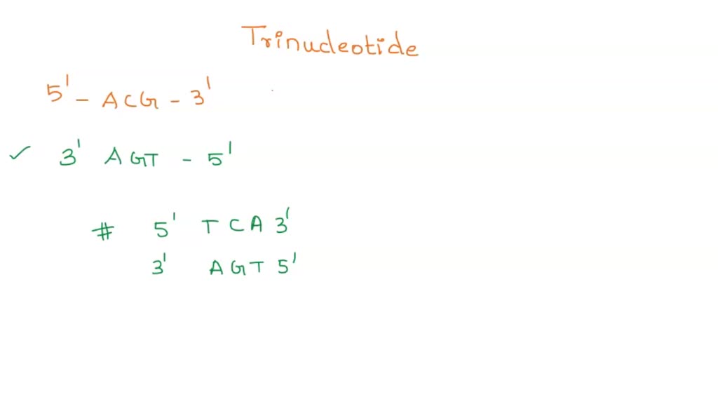 SOLVED: To answer the prompts below; you will need t0 draw the chemical ...