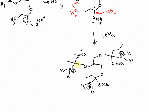 Transesterification and Saponification: The reaction to form...