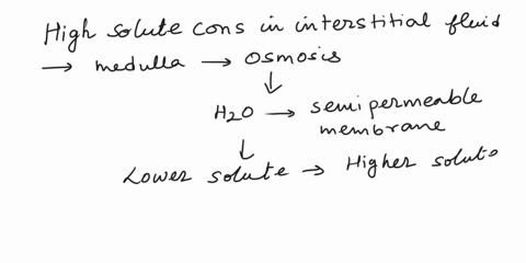 Tubule fluid osmolarity is greatest in theproximal...