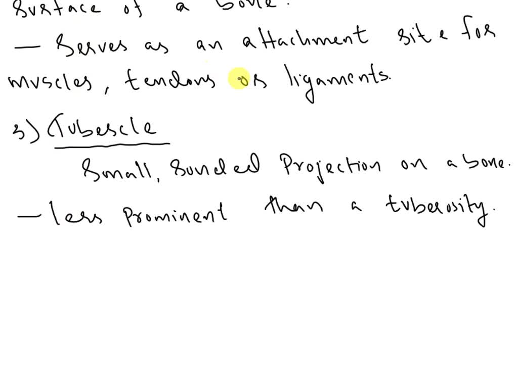 1) Mandibular fossa: This is part of what joint? Describe relation ...