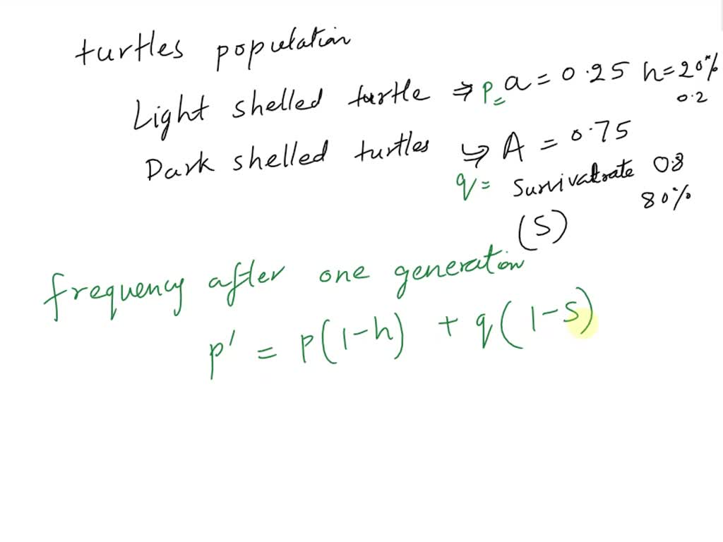 SOLVED: Suppose in this same population of turtles, volcano erupts ...