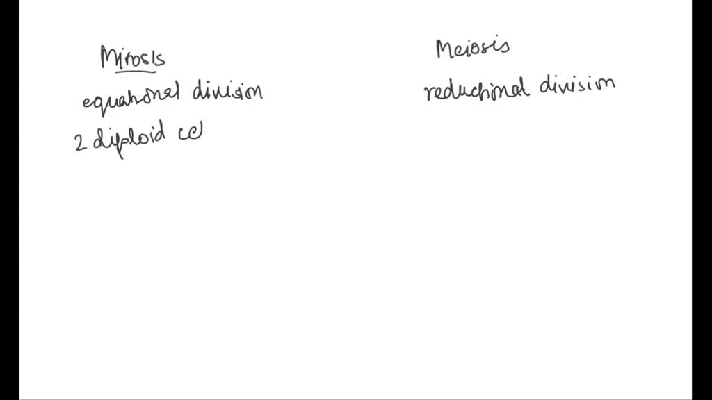 Solved Draw And Annotate Meiosis In Your Annotations Explain How 0078