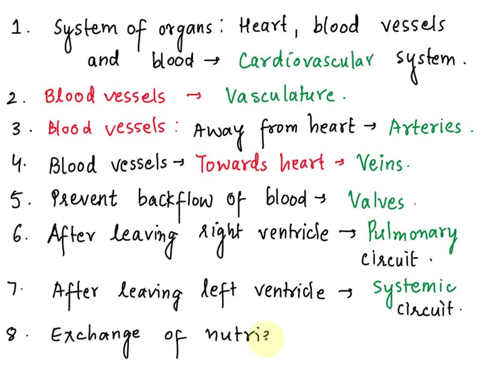 SOLVED: artery, blood vessel, capillary, circulatory system, heart ...
