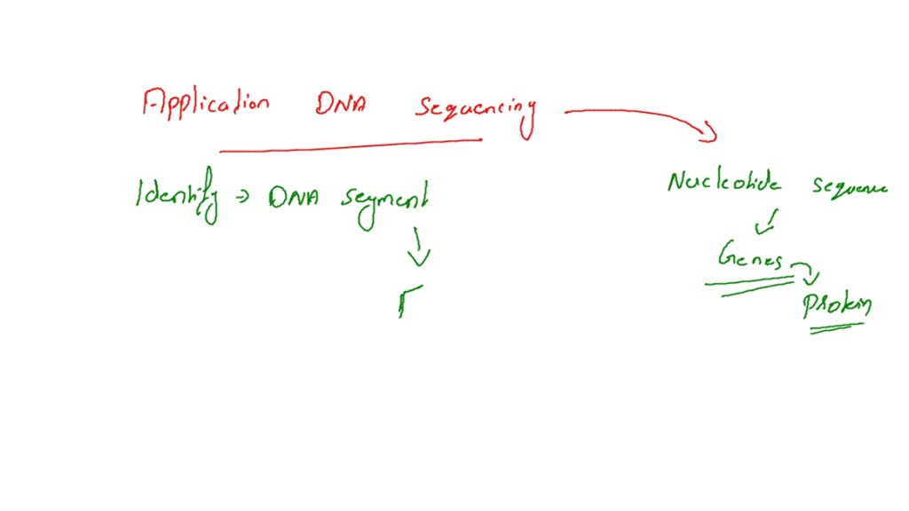 SOLVED: A summary of workflow for long read sequencing vs short read ...