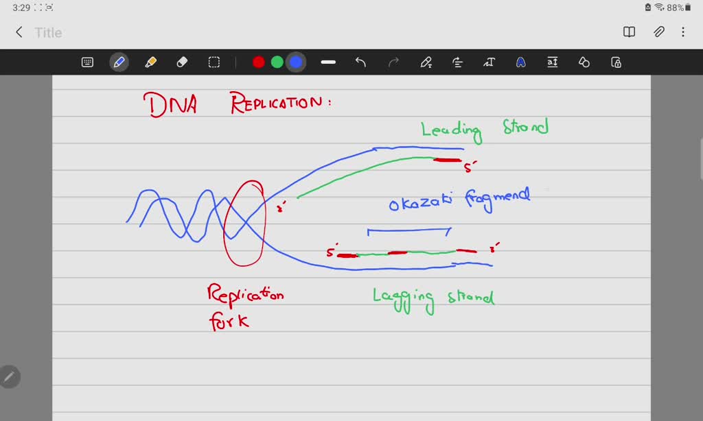 SOLVED: In DNA replication, the lagging strand is the single DNA strand ...