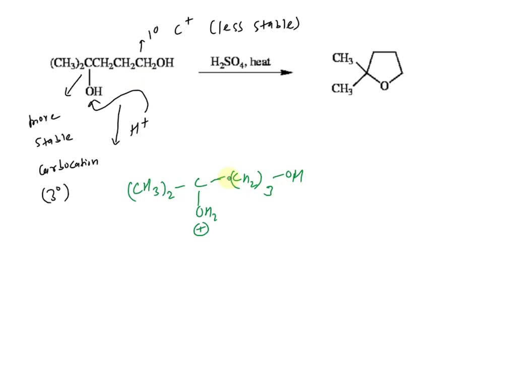 SOLVED: Propose a mechanism for the following reaction: HC(CH3)3 + HSO4- â†’ HC=CHCH(CH3)2 + H2O
