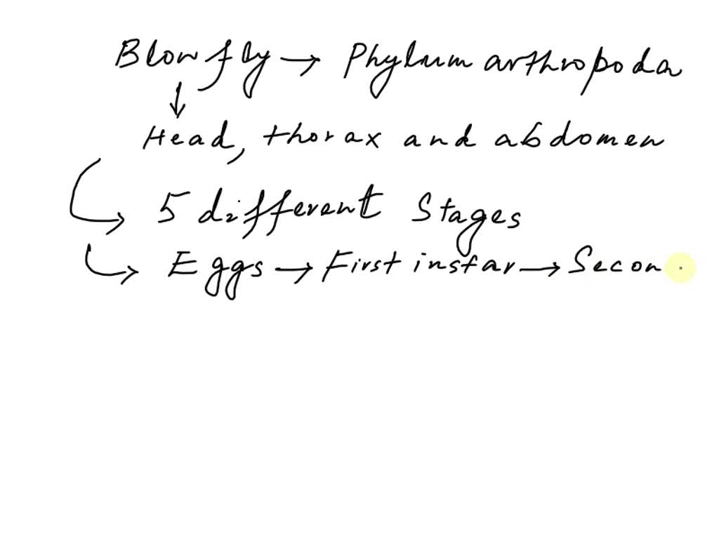SOLVED: Which is referred to as the "walking larva" of the blowfly? 1 ...