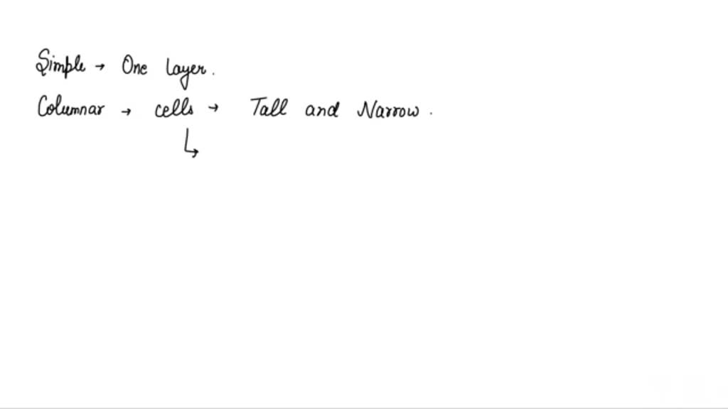 SOLVED: An epithelial tissue described as simple columnar would have ...