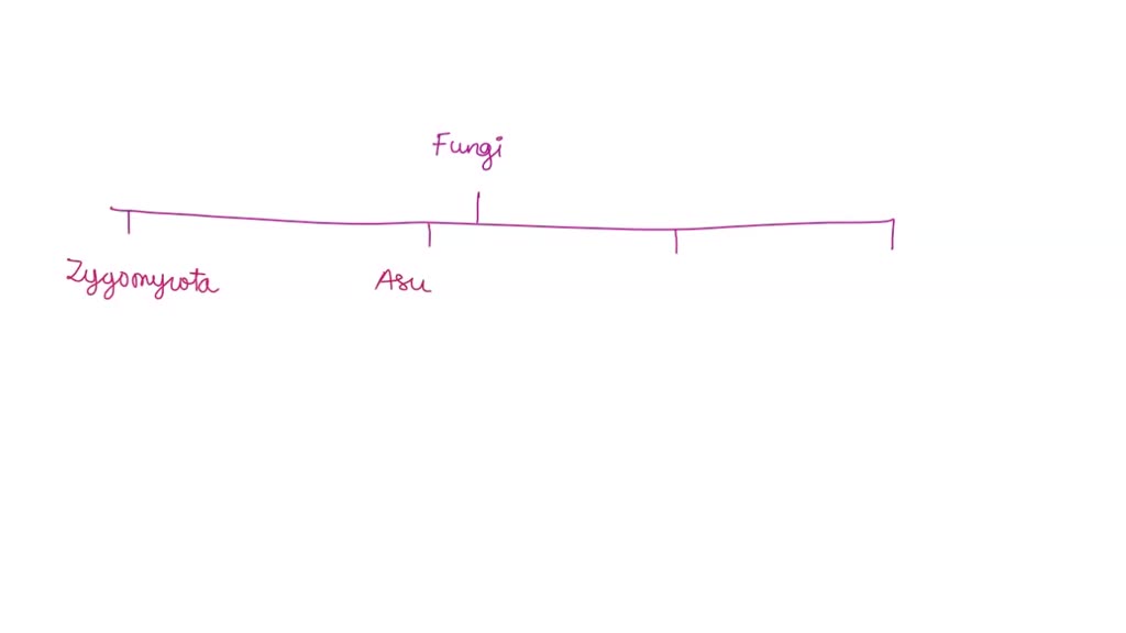 SOLVED: Assignment 3: Identifying Fungi Use the following create ...
