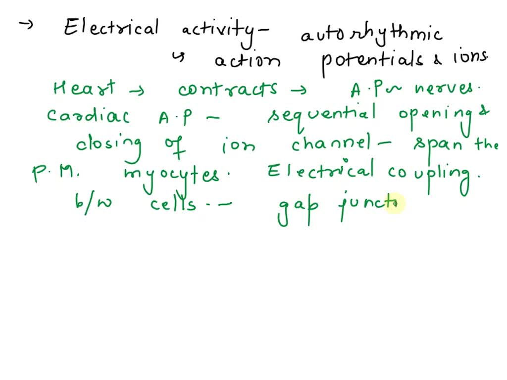 SOLVED: Describe the electrical activity of the heart. Which cells are ...