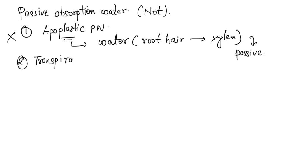 SOLVED: Passive absorption of water is related to all, except (1 ...