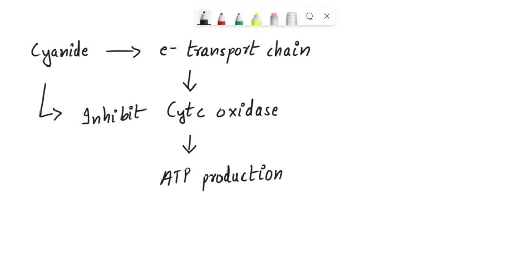 SOLVED: The cyanide ion binds to an enzyme and prevents oxygen from ...
