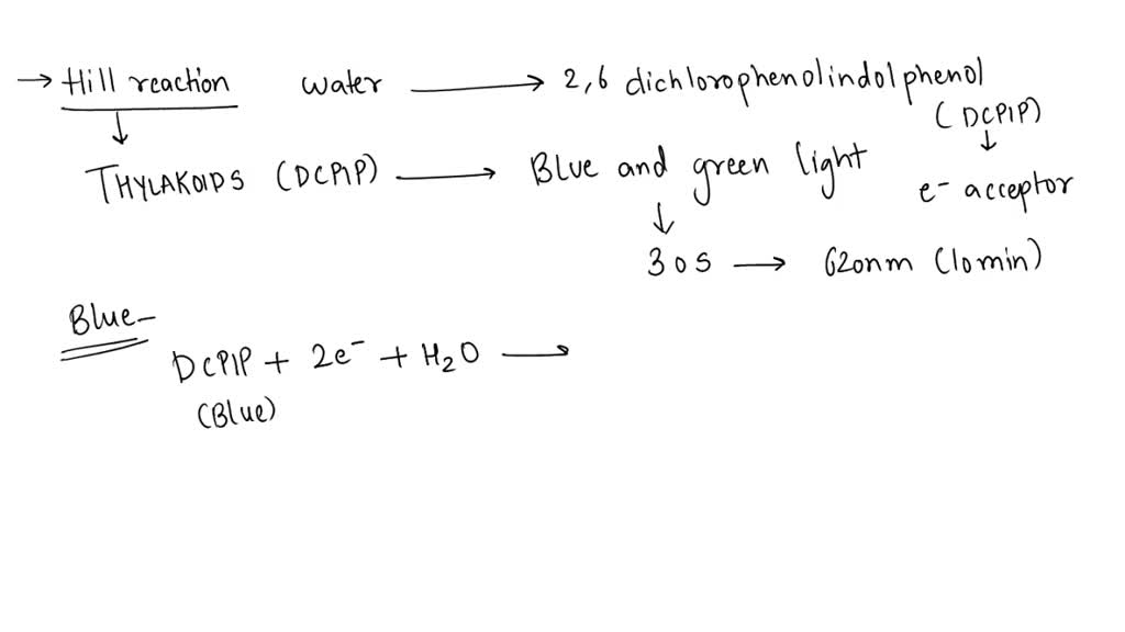 SOLVED: 3. Consider how the Hill Reaction might be used to investigate ...